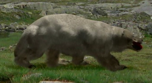 Snowstalker | The Future is Wild Wiki | Fandom