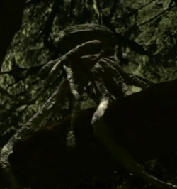 Squibbon | The Future is Wild Wiki | Fandom