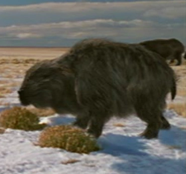 Shagrat | The Future is Wild Wiki | FANDOM powered by Wikia