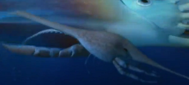 Sword silverswimmer | The Future is Wild Wiki | Fandom