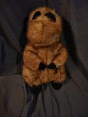 Poggle | The Future is Wild Wiki | Fandom