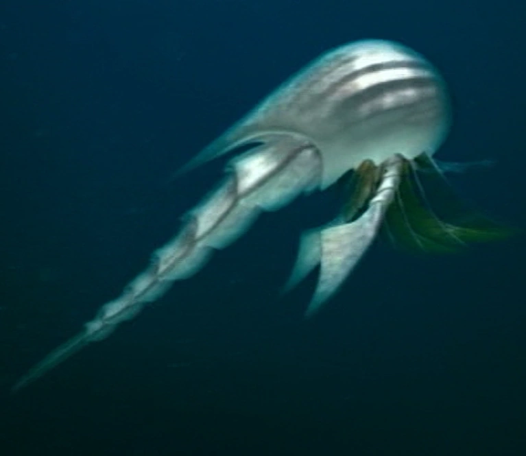 Common silverswimmer | The Future is Wild Wiki | Fandom