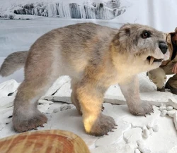 Snowstalker | The Future is Wild Wiki | Fandom