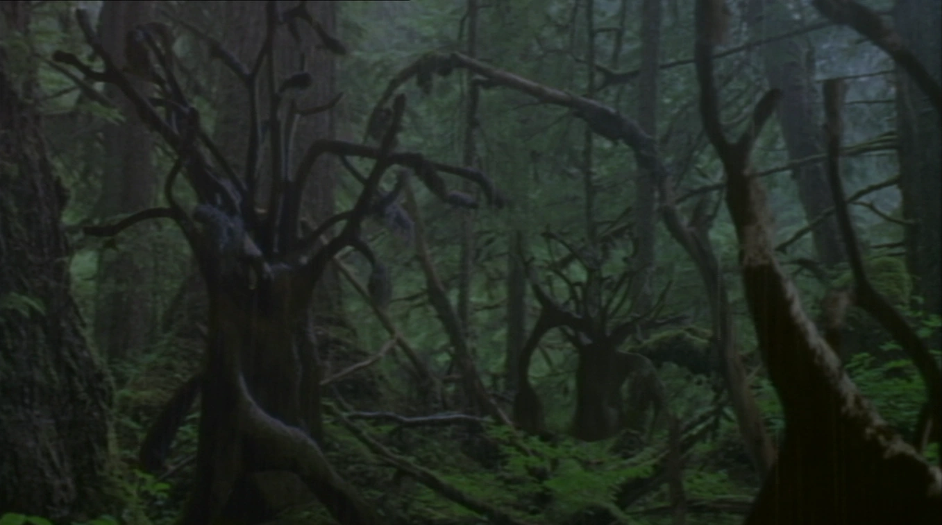 Lichen tree | The Future is Wild Wiki | FANDOM powered by Wikia