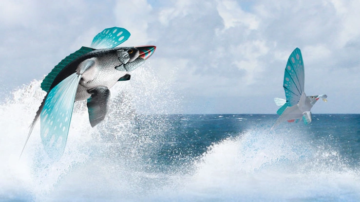 Flish | The Future is Wild Wiki | Fandom