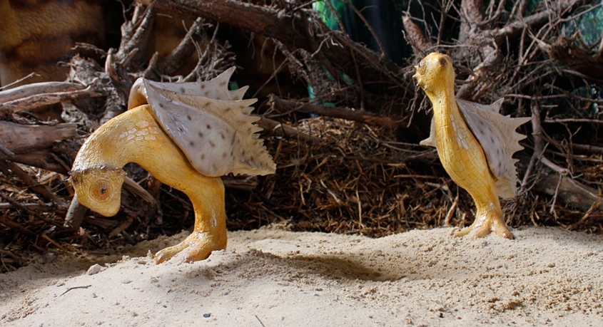 Desert hopper | The Future is Wild Wiki | FANDOM powered by Wikia