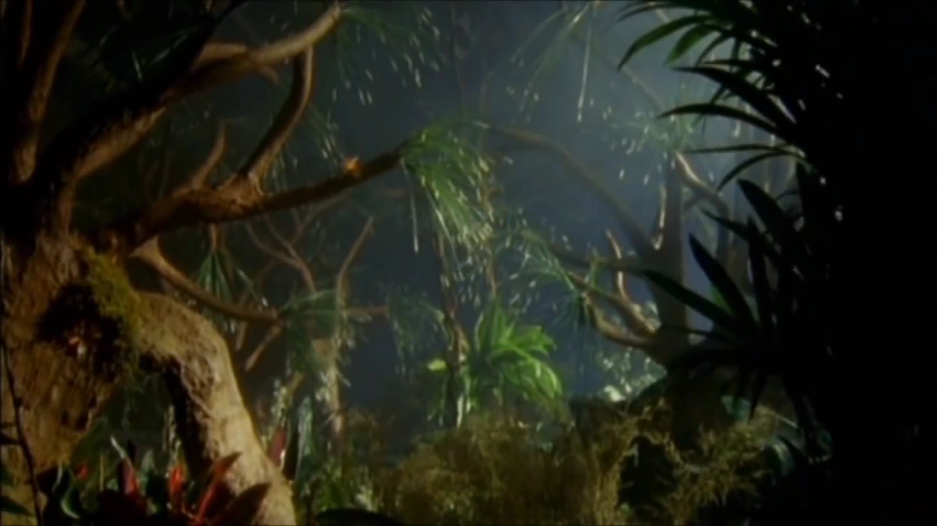 Antarctic Forest | The Future is Wild Wiki | Fandom