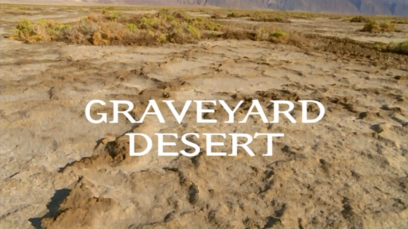 Graveyard Desert | The Future is Wild Wiki | Fandom