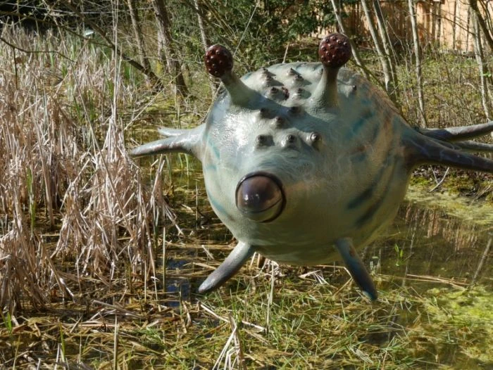 Reef glider | The Future is Wild Wiki | Fandom