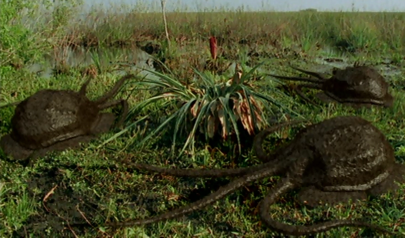 Swampus | The Future is Wild Wiki | Fandom