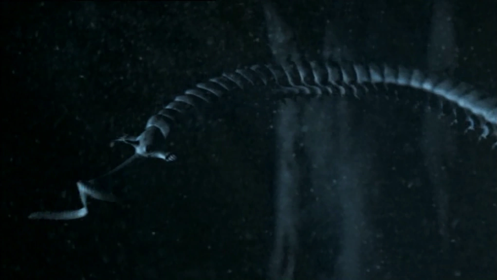 Slickribbon | The Future is Wild Wiki | Fandom