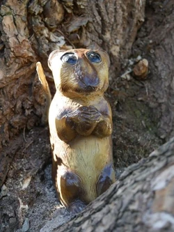 Poggle | The Future is Wild Wiki | Fandom