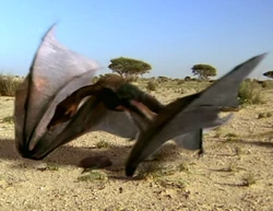 Deathgleaner | The Future is Wild Wiki | Fandom