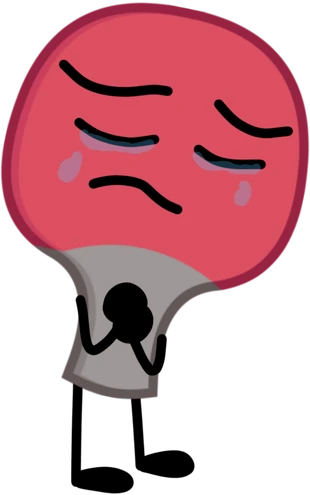 Paddle | The Insane Battle Of Objects Wiki | Fandom