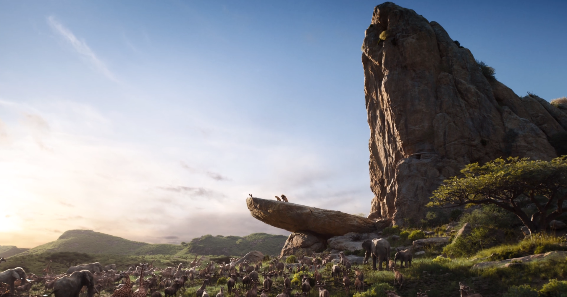 Pride Rock | The Lion King (2019 film) Wiki | Fandom Pride Rock | The Lion King (2019 film) Wiki | Fandom