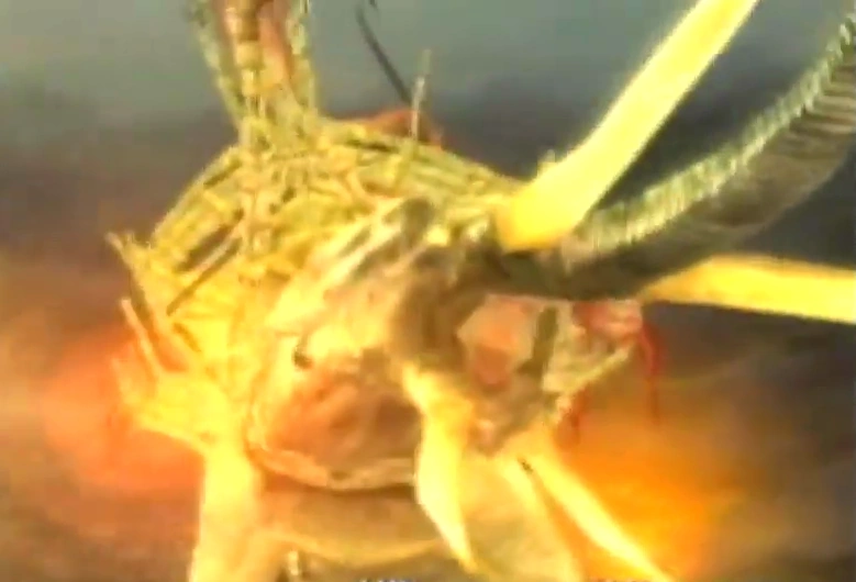 Pelennor Fields | The Lord of the Rings: The Third Age Wiki | Fandom