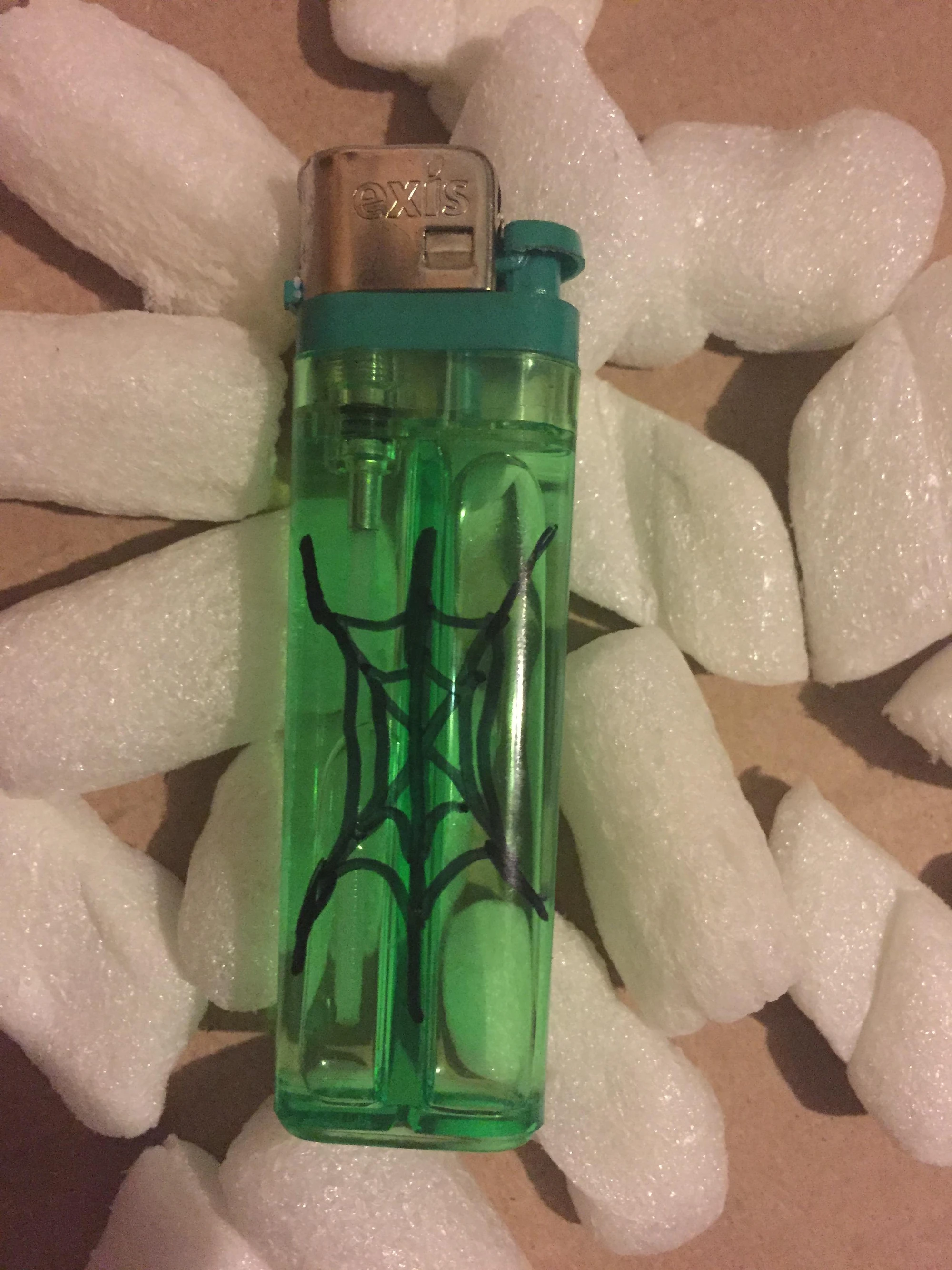 MAG 36: Taken Ill | The Magnus Archives Wikia | Fandom