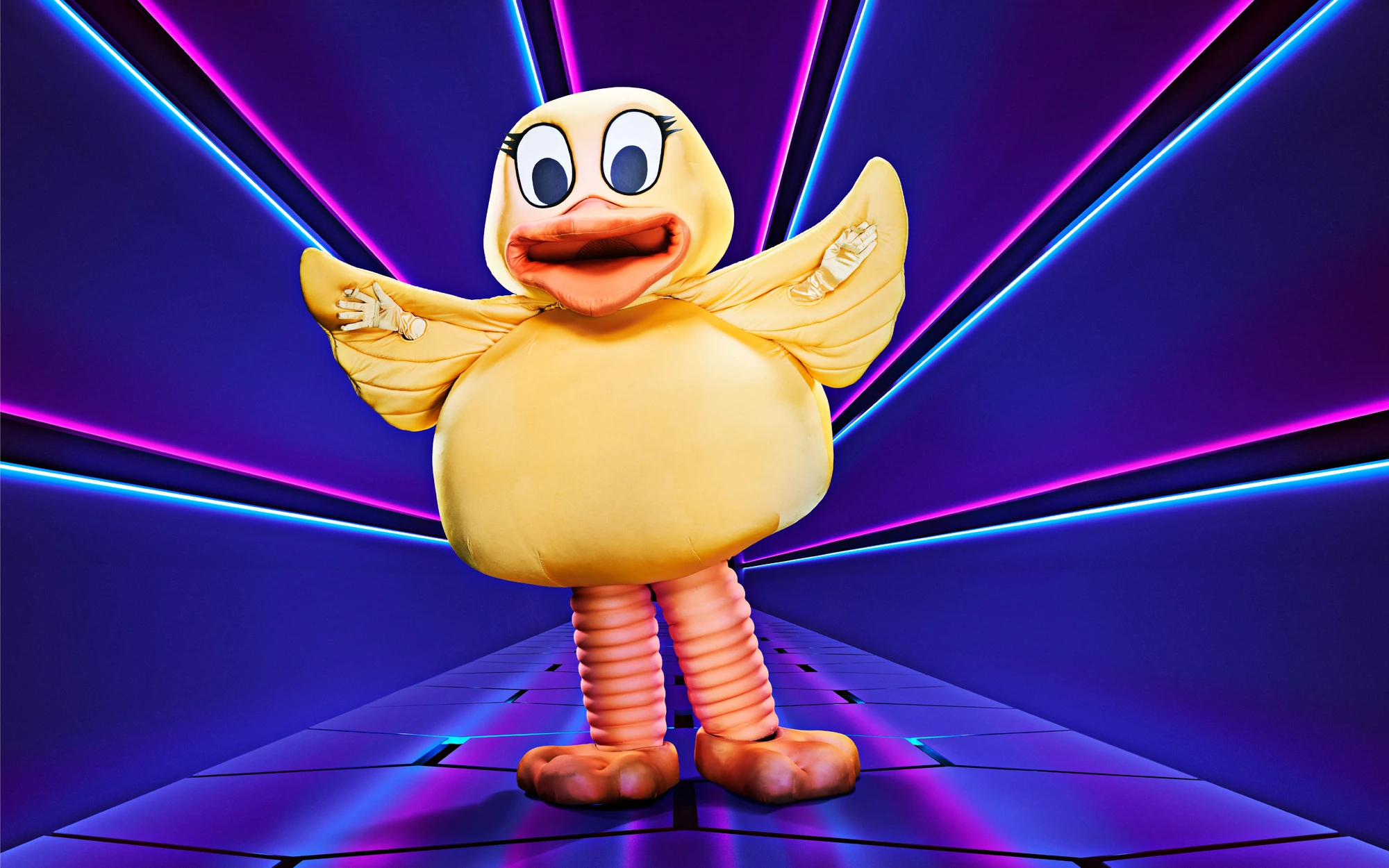 Duck | The Masked Singer Wiki | Fandom