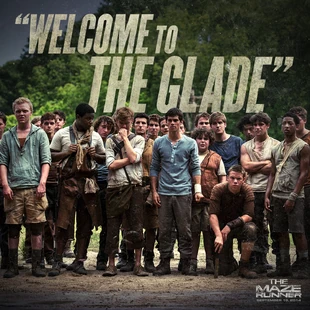 Gladers | The Maze Runner Films Wiki | FANDOM powered by Wikia