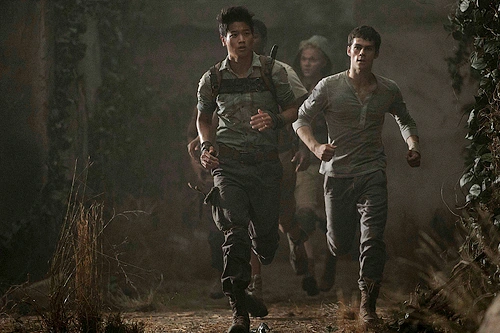 Image - Minho-Thomas-Labyrinthe.png | Wiki L'Epreuve | FANDOM powered by Wikia