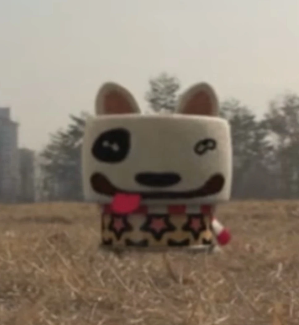 Woo-ang/Gallery | Canimals Wiki | Fandom