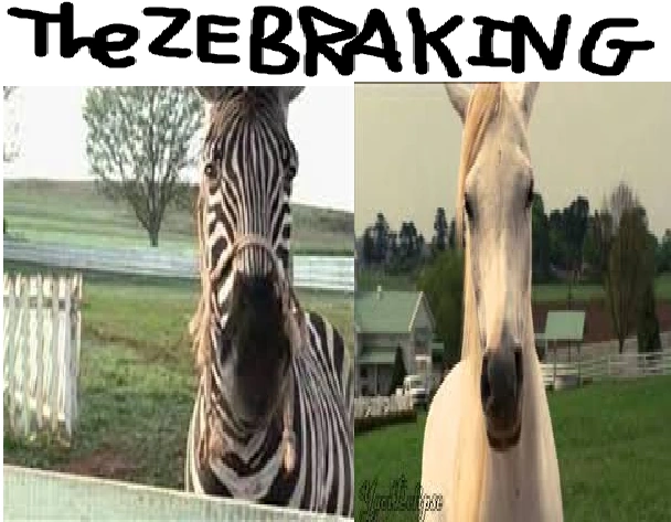 The Zebra King | The New Parody Wiki | Fandom