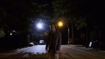 Silverback | The Order Wiki | Fandom