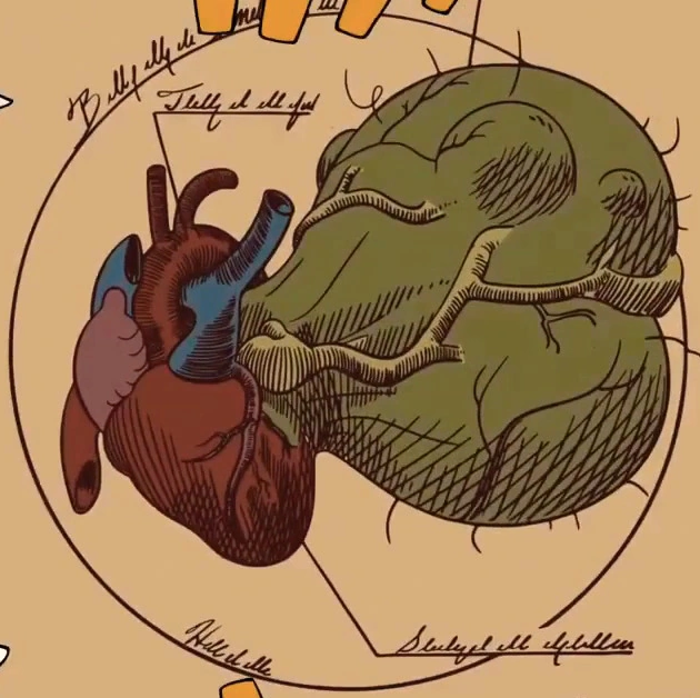 Magic/Gallery | The Owl House Wiki | Fandom