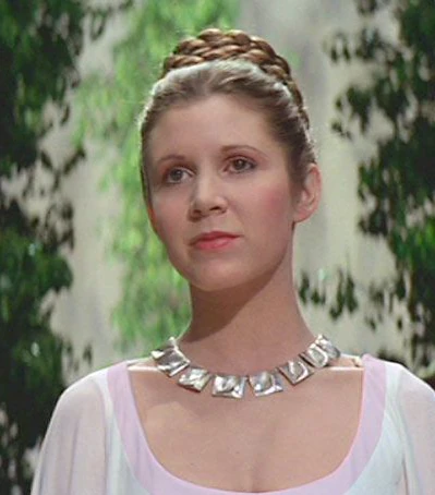 Princess Leia | The princess Wikia | Fandom