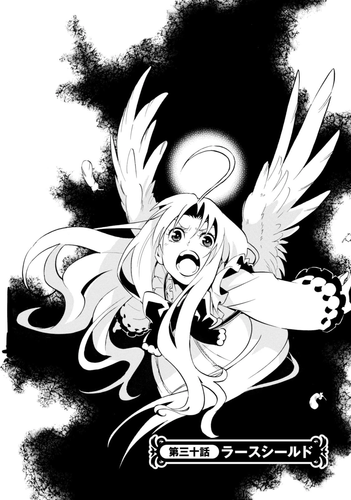 Shield of Wrath | The Rising of the Shield Hero Wiki | Fandom