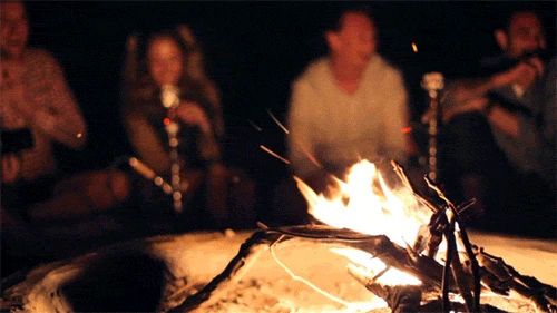 Forest Fire Gif Tumblr