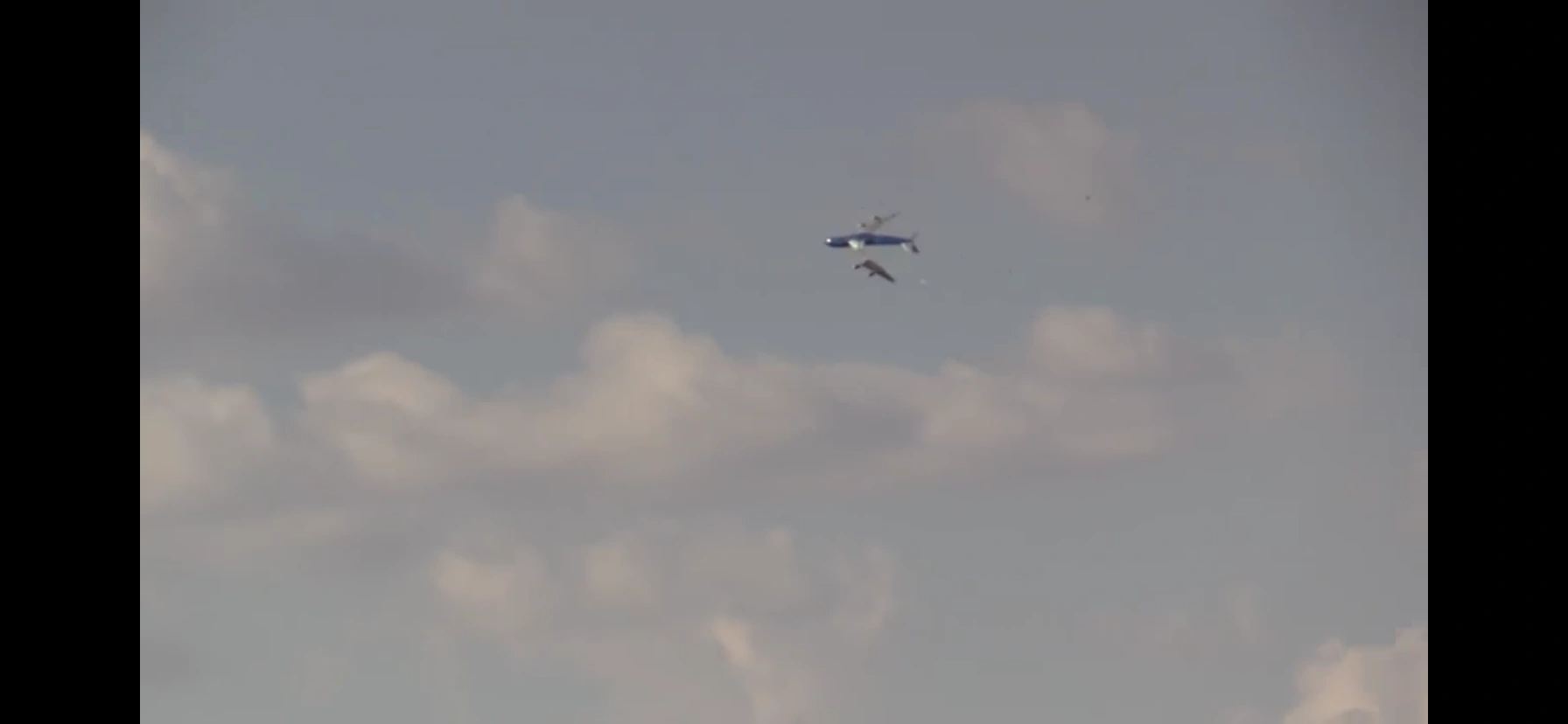 British Aqualantic Airlines flight 325 | The Roblox Airline Industry ...