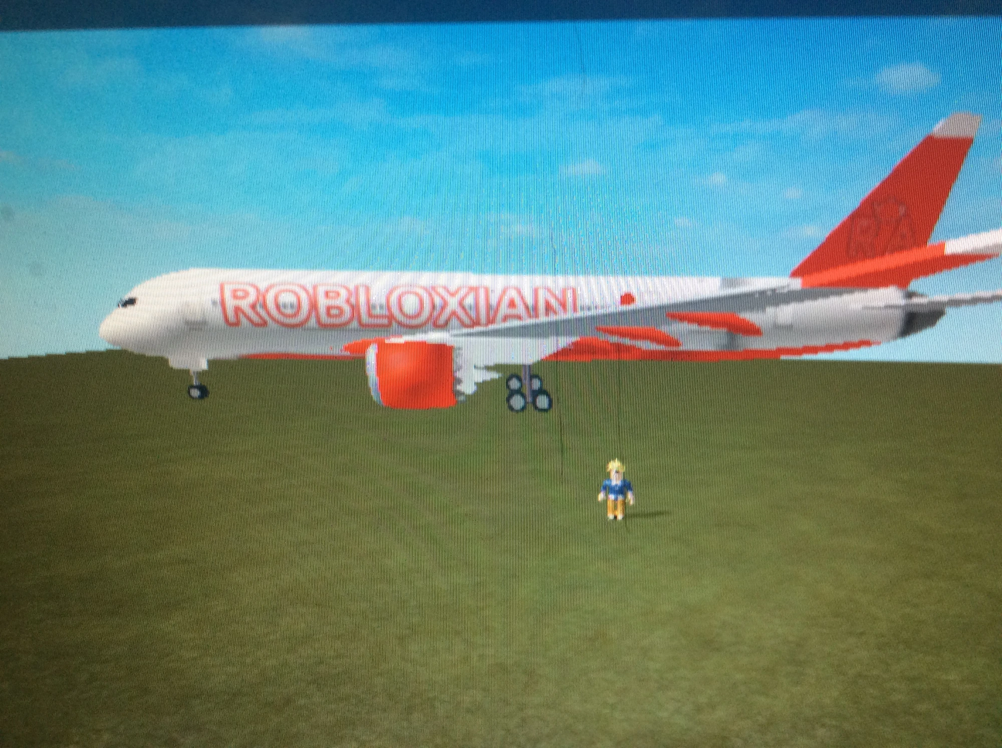 Robloxian Airlines flight 209 | The Roblox Airline Industry Wiki | Fandom