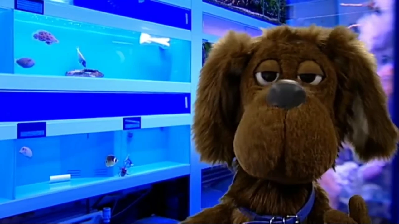 Interesting Pets | The Shiny Show Wiki | Fandom