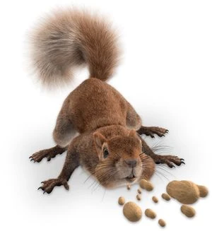 The Rodent | The Lbat1901 Wiki | Fandom