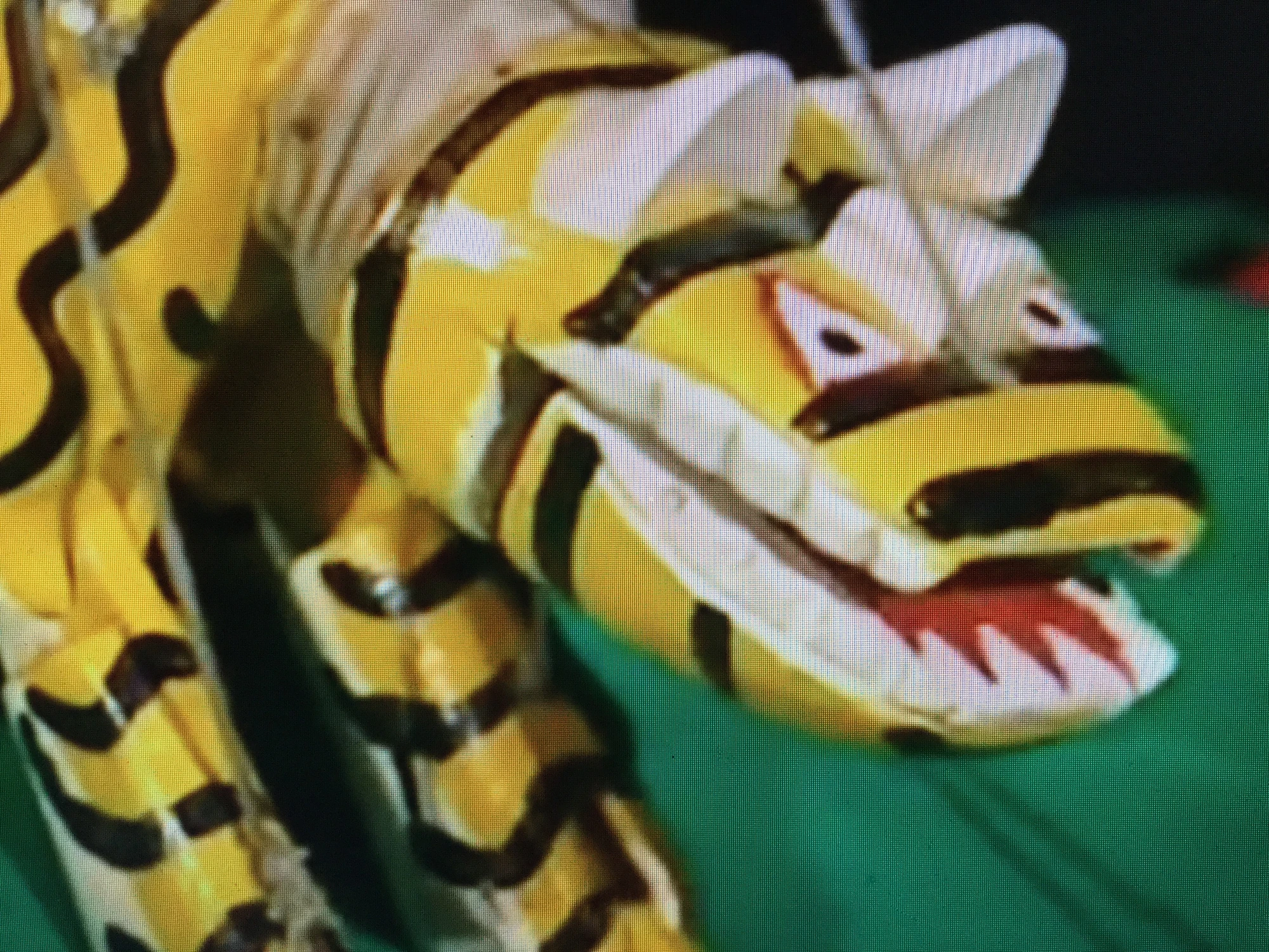 Tiger | The Story Makers Wiki | Fandom