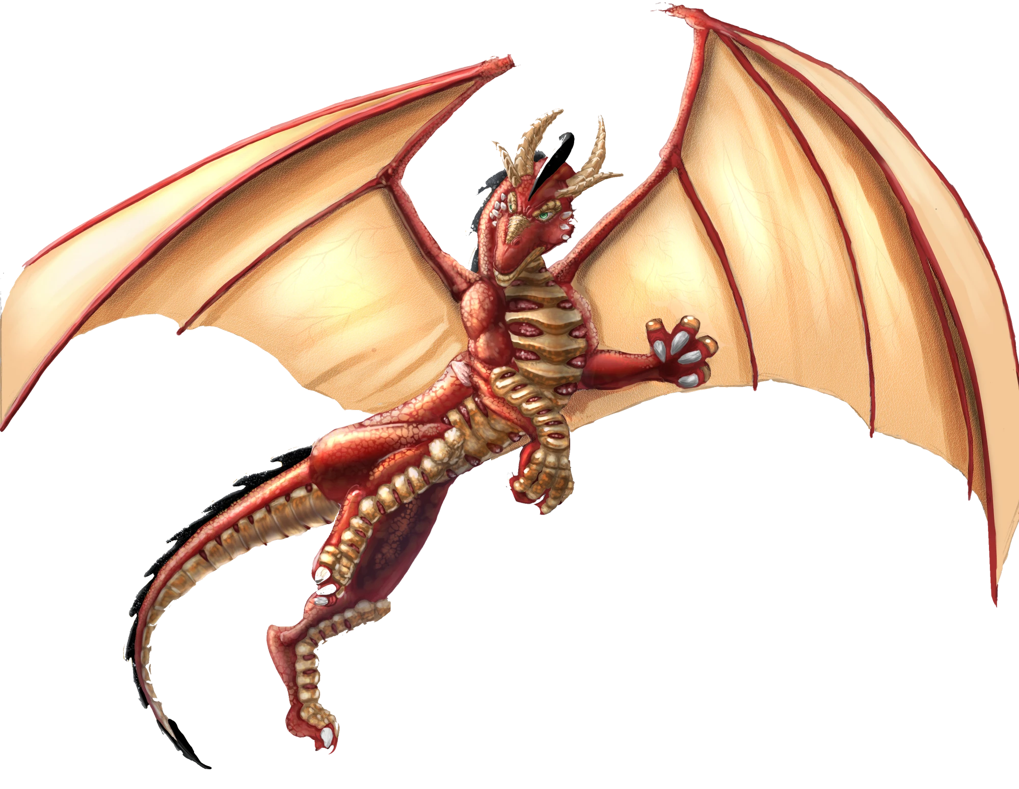 Ember Hill | The Talon Saga Wikia | FANDOM powered by Wikia