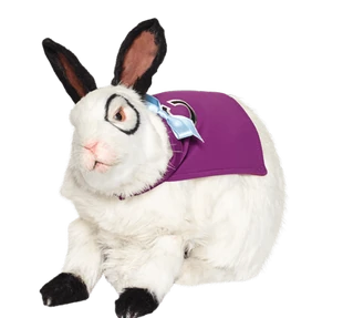 Doctor Colosso | The thundermans Wiki | Fandom