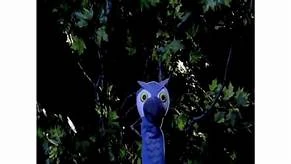 Owl The True Baby Einstein Wiki Fandom
