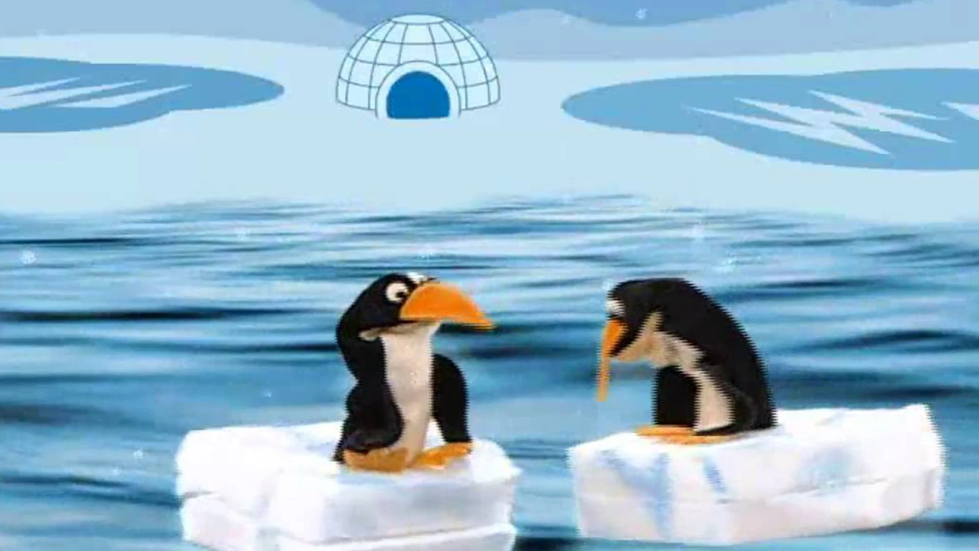 Penguin | The True Baby Einstein Wiki | Fandom