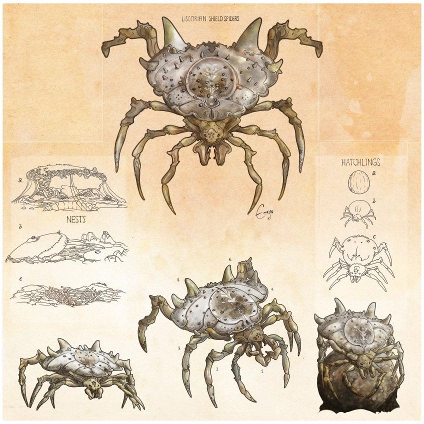 Shield Spiders | The Wandering Inn Wiki | Fandom