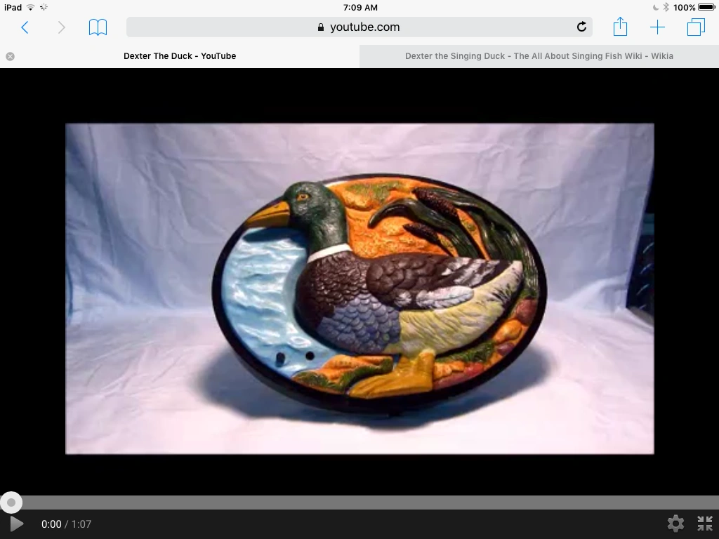 Dexter the Singing Duck | The All About Singing Fish Wiki | Fandom