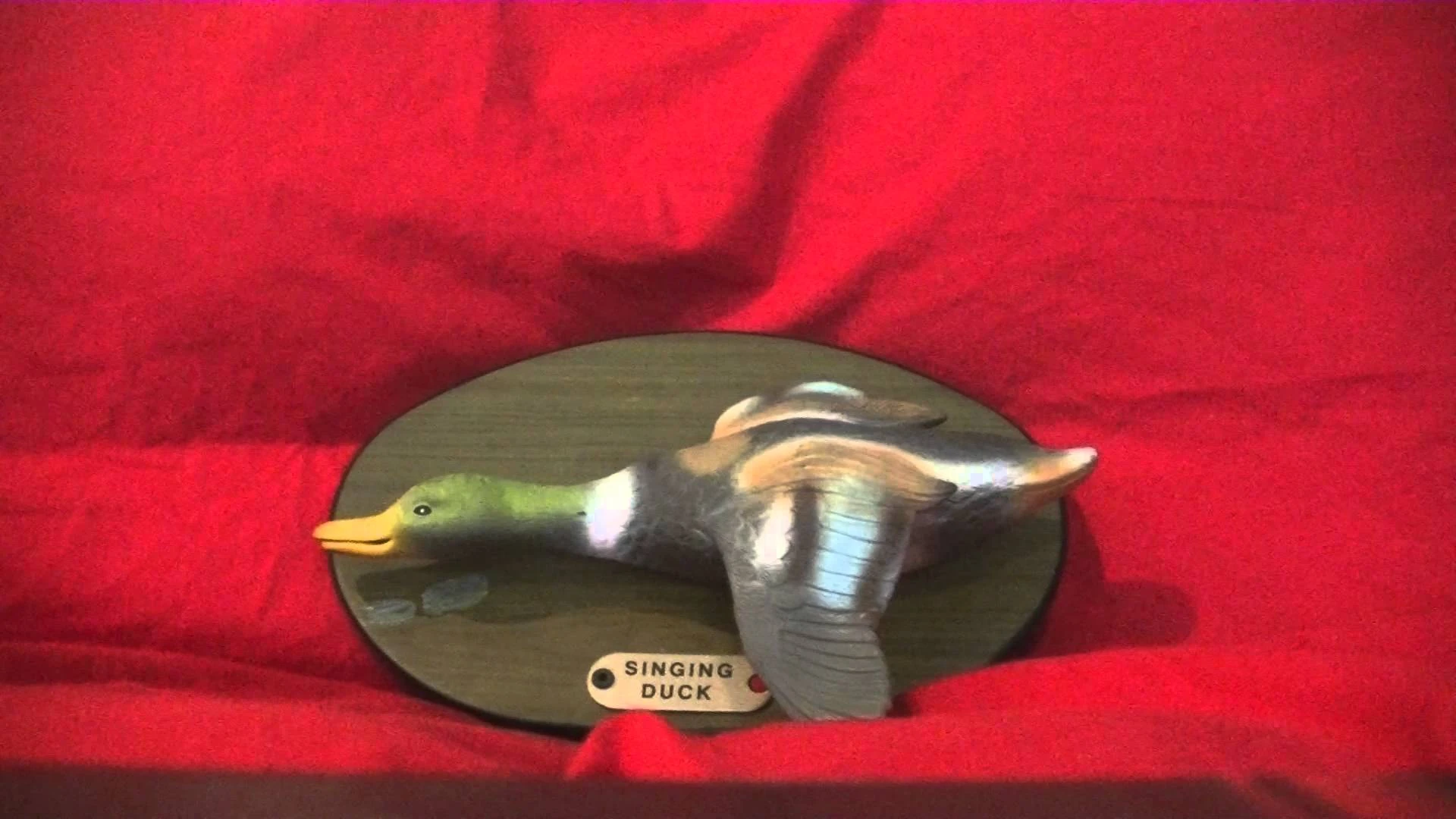 Singing flying duck | The All About Singing Fish Wiki | FANDOM powered ...