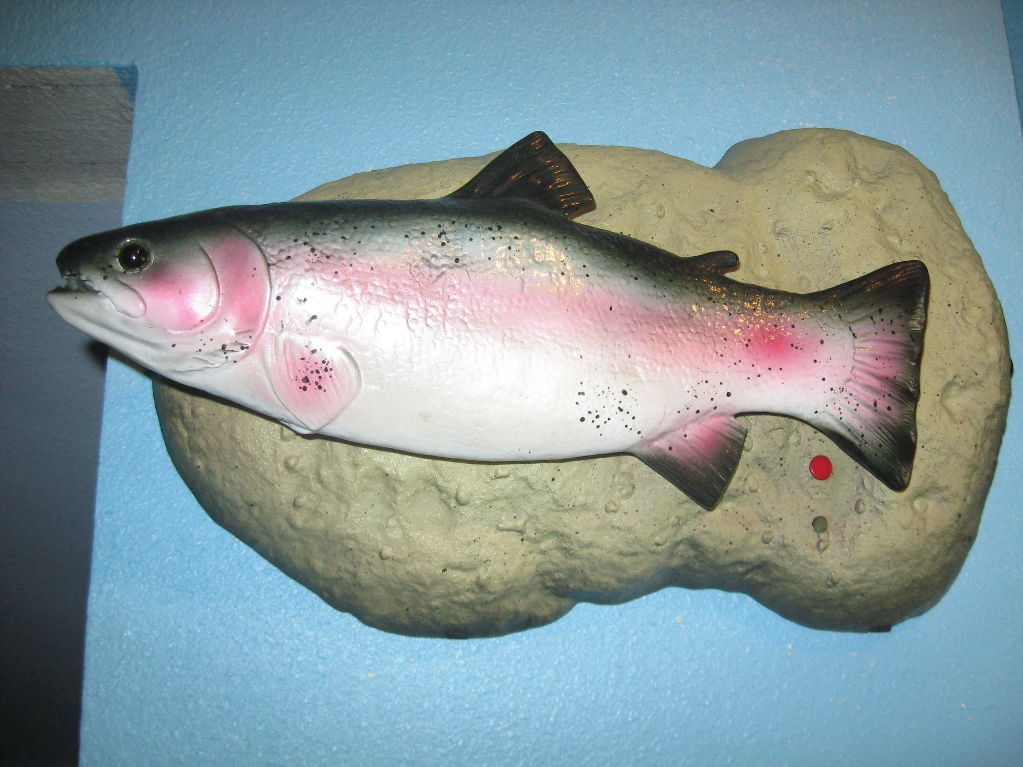 Travis The Singing Trout | The All About Singing Fish Wiki | Fandom