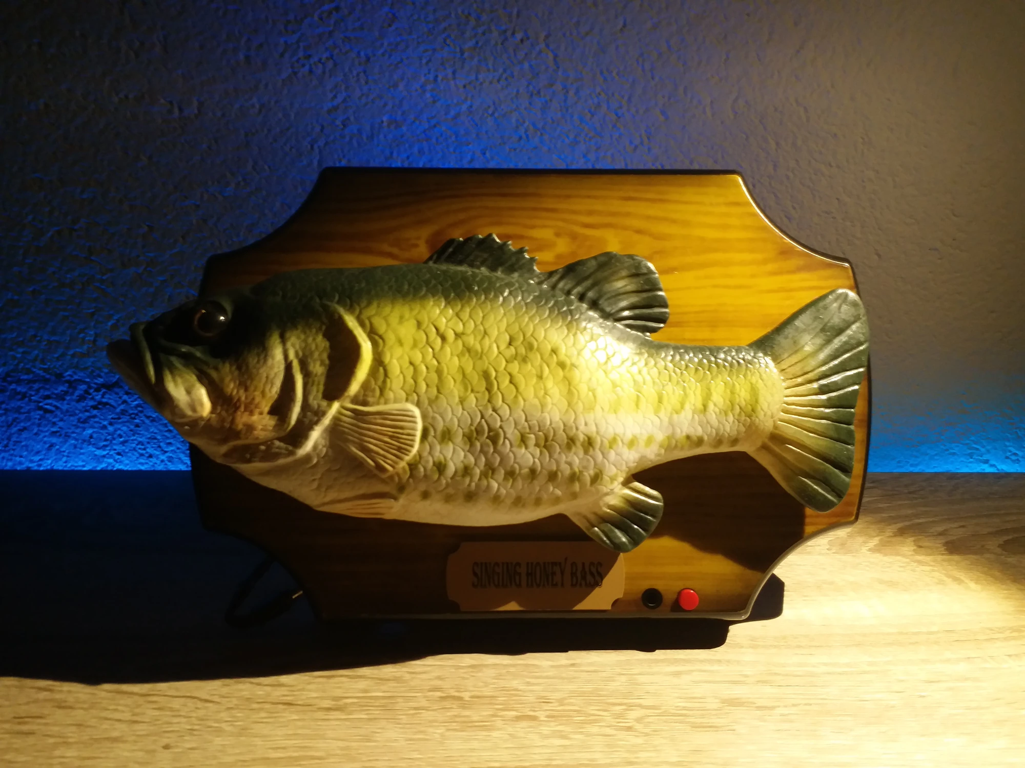 SINGING HONEY BASS | The All About Singing Fish Wiki | Fandom