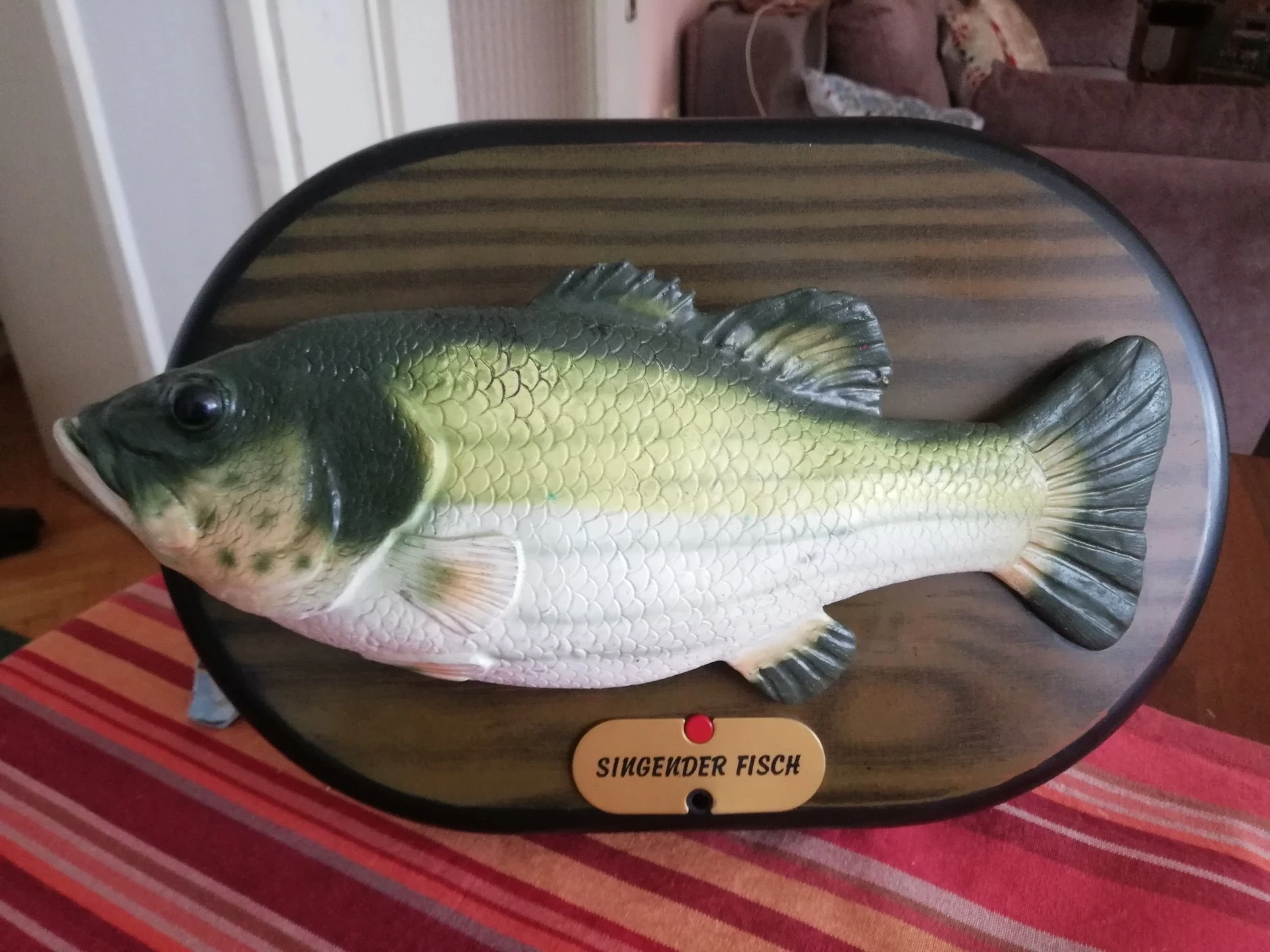 SINGENDER FISCH | The All About Singing Fish Wiki | Fandom