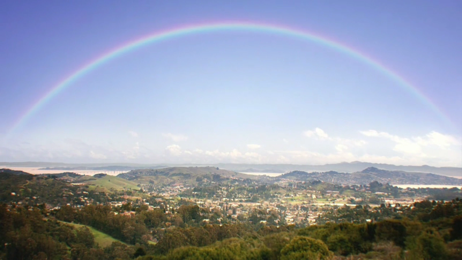 Elmore | The Amazing World of Gumball Wiki | Fandom