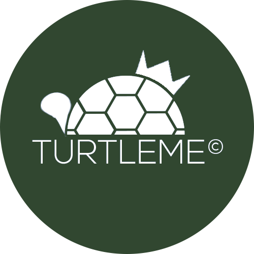 TurtleMe | The Beginning After The End Wiki | Fandom