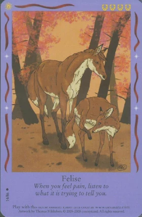 Felise | The Bella Sara Wiki | Fandom