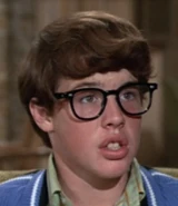 Harvey Klinger | The Brady Bunch Wiki | Fandom